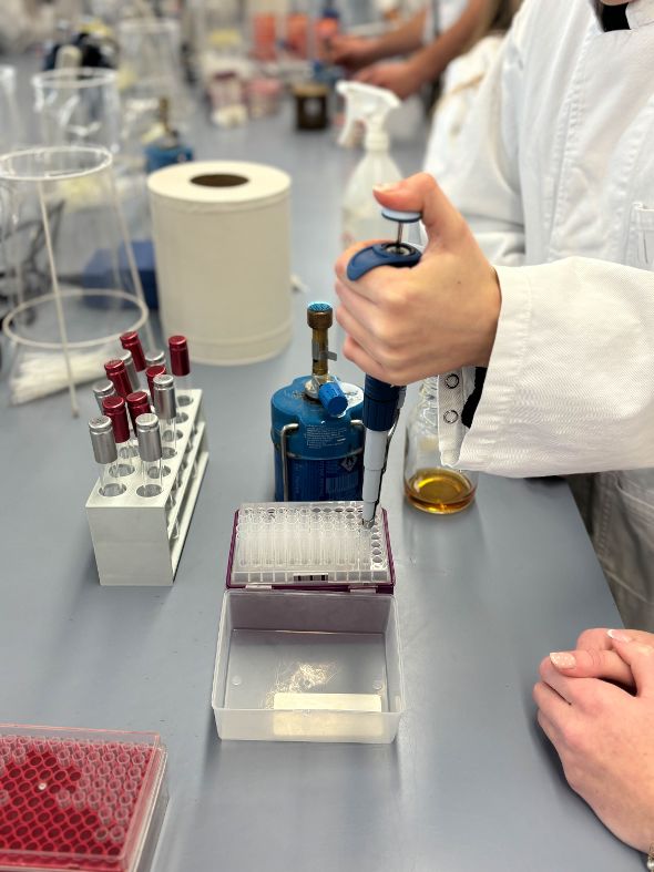 fotoservice, HBLA Pitzelstätten