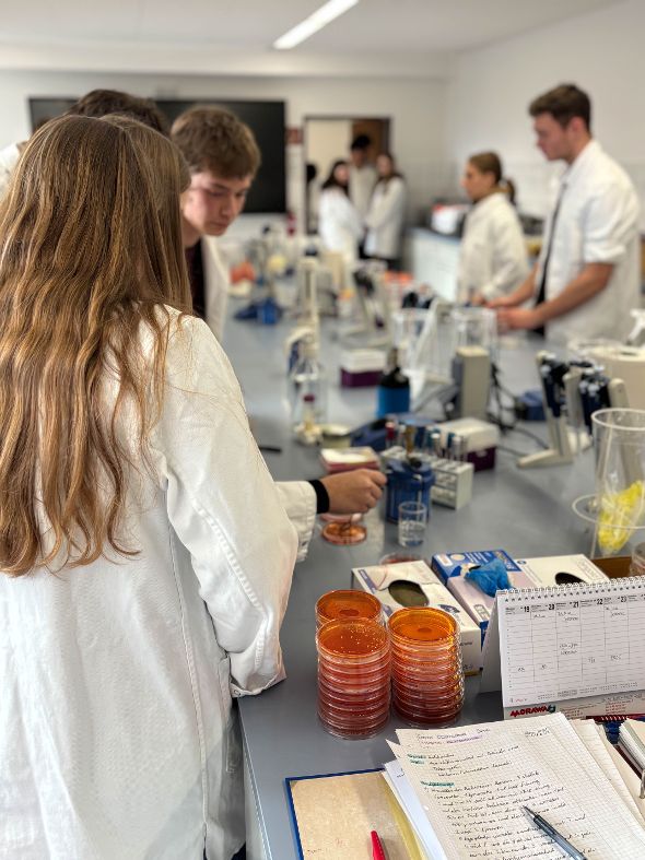 fotoservice, HBLA Pitzelstätten